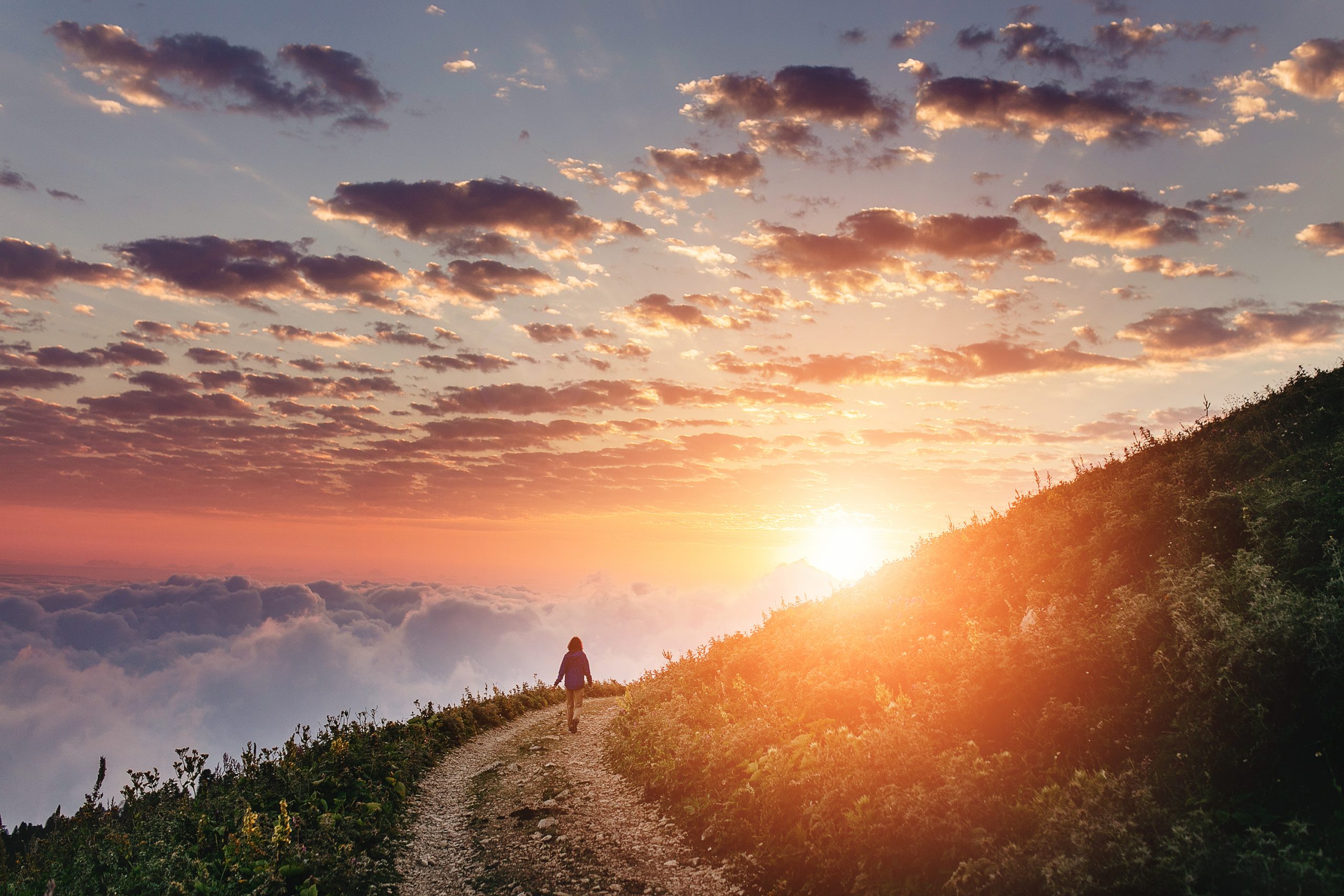 Wellness & Coaching | Health Advocate